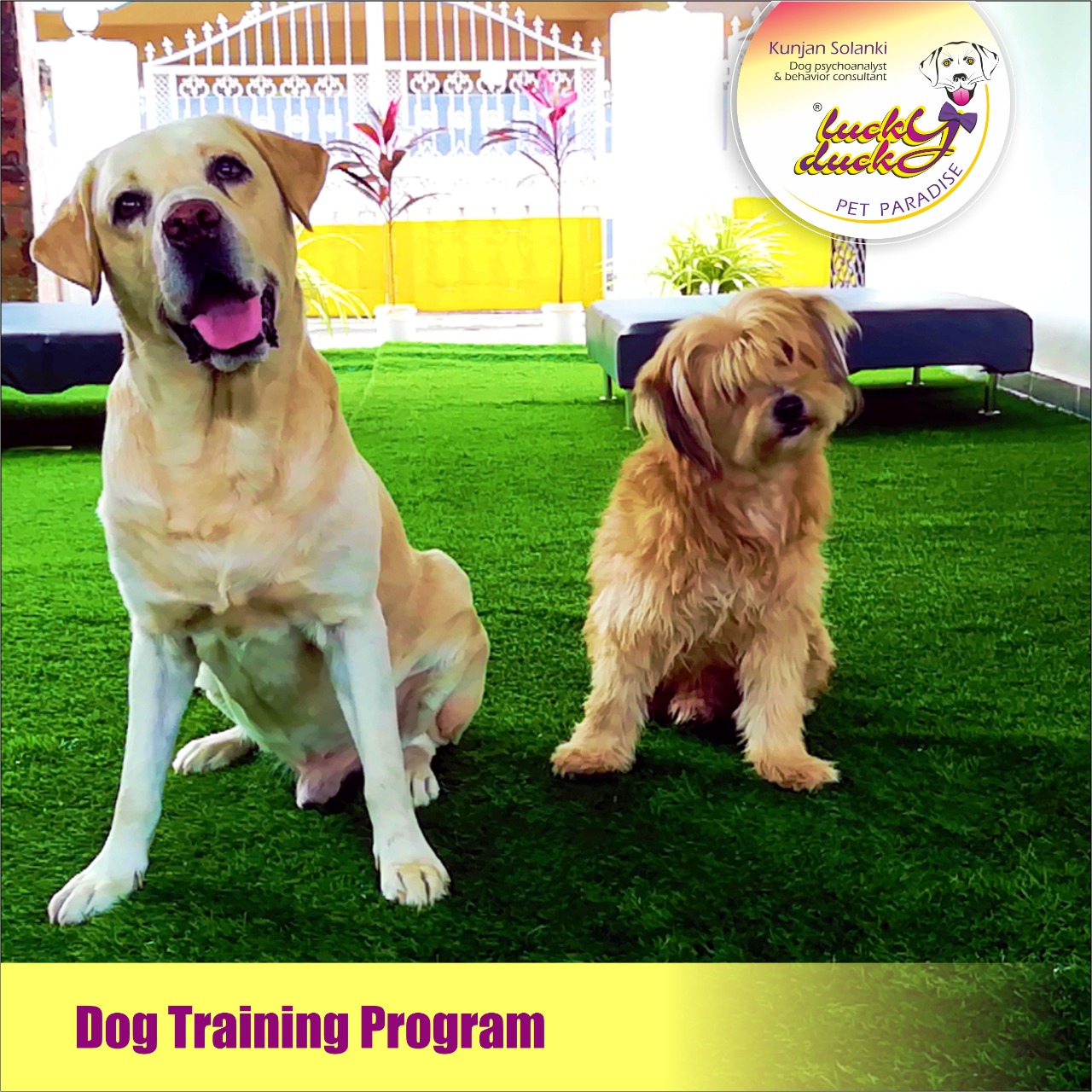 Meet Kunjan Bhatt Solanki Dog Psychoanalyst & Behavior Consultant and ...